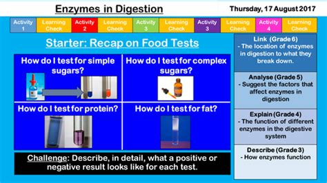 Factors Affecting Enzymes New Aqa Ks3gcse Teaching Resources