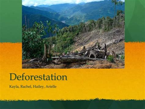 Ppt Deforestation Powerpoint Presentation Free Download Id2229920