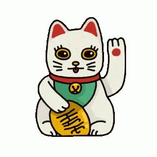 Good Luck Cat Meme S Tenor