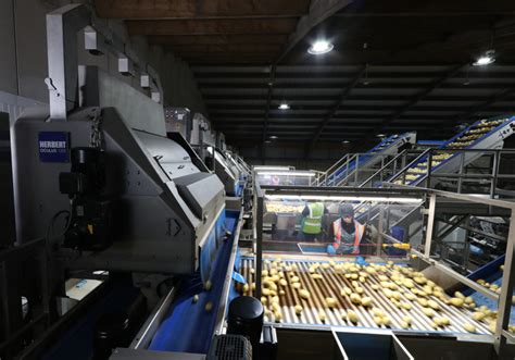 Key Technology Introduces Advanced Potato Sorter Produce Processing