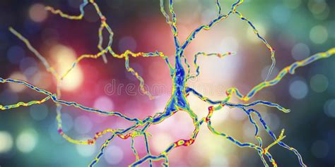 Neuron Development Stock Illustrations 3998 Neuron Development Stock Illustrations Vectors