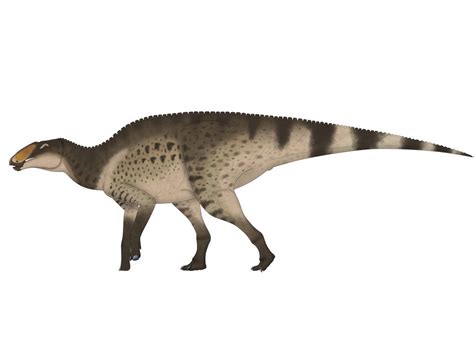 Hadrosaurus Foulkii By Gonzaleztorresdaniel On Deviantart