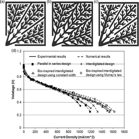 Bioinspired Flow Field Designs With A Interdigitated Flow Field Design