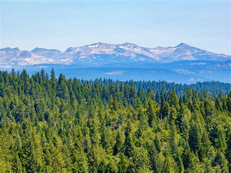 616 Acres Of Recreational Land For Sale In Pollock Pines California