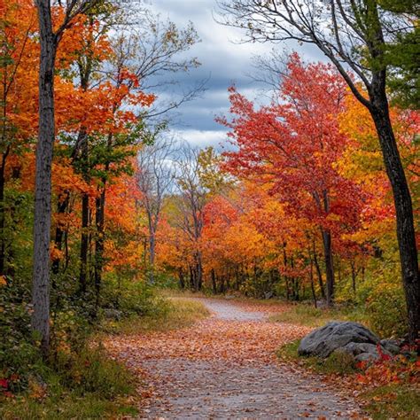 Glacial Mass Public Park With Dynamic Fall Foliage Premium Ai Generated Image