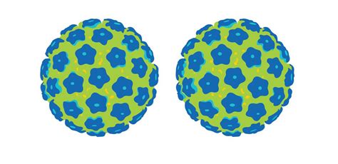 Clarification Of Viral Vaccines And Viral Vectors