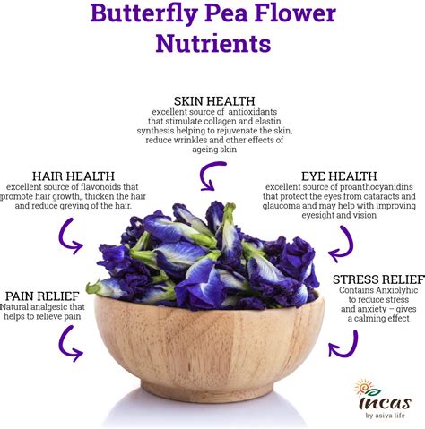17 Incredible Blue Butterfly Pea Flower Tea Health Benefits Teafame