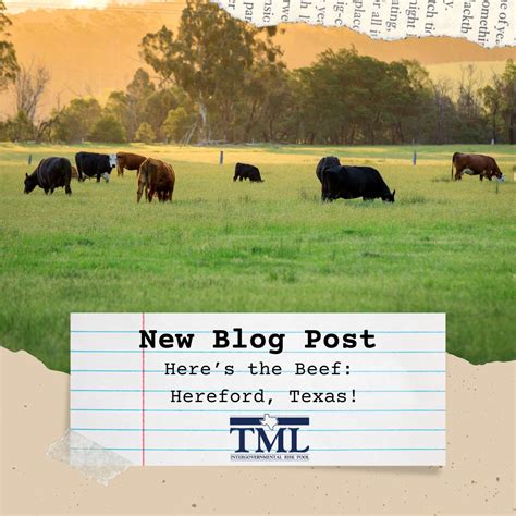 Linda Morvant Posted On Linkedin