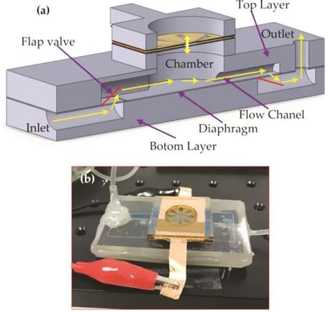 a 3d schematic of proposed micropump in [102] and b its fabricated