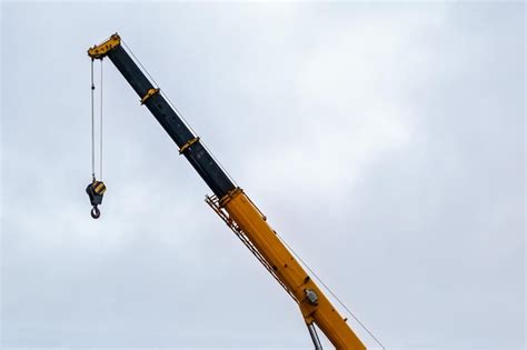 Premium Photo Yellow Crane