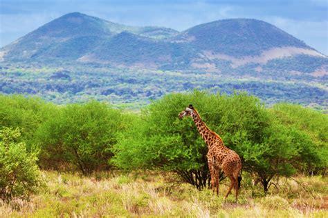 15 Natural Attractions In Kenya To Add To Your Bucket List Now Afktravel