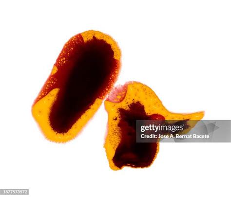 Human Blood Drop Formation Photos And Premium High Res Pictures Getty