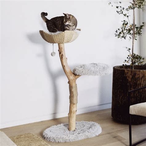 10 Best Modern Cat Trees In 2026 Reviews And Top Picks Catster