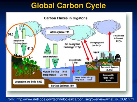 Ppt Terrestrial Carbon Sequestration Powerpoint Presentation Free Download Id 3328082