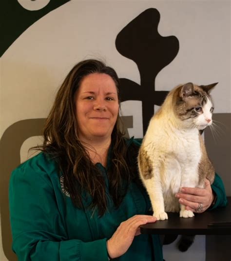 Danielle Galway Veterinary Hospital