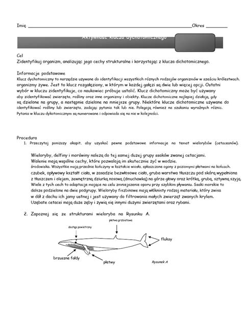 Aktywność 2 Dichotomiczny Klucz Wieloryby2022 Pdf
