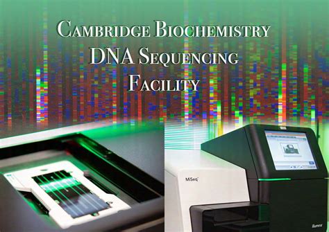 Dna Sequencing Machine