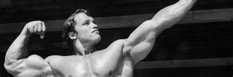 Potential Phyt Fun Airdrop How To Be Eligible