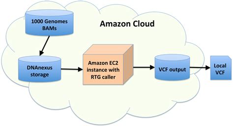 Variant Calling Pipeline Diagram Of Variant Calling Pipeline Blue