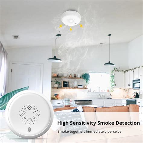 Zemismart Tuya Zigbee Smart Smoke Sensor Fire Smoke Detector Security