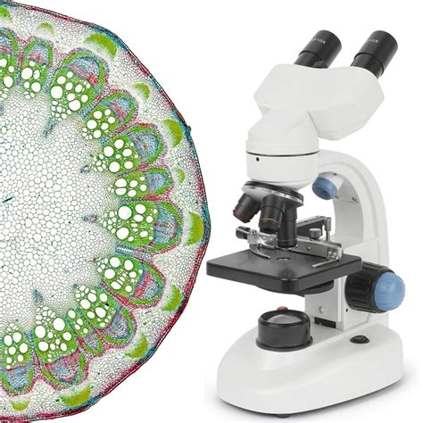 40x 1000x Magnification Led Binocular Compound Microscope Professional Compound Microscope