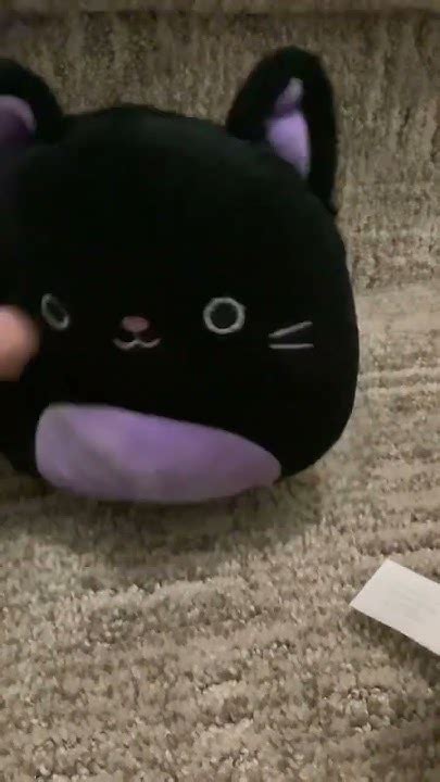 Kitty Lore🤫🤫 Youtube