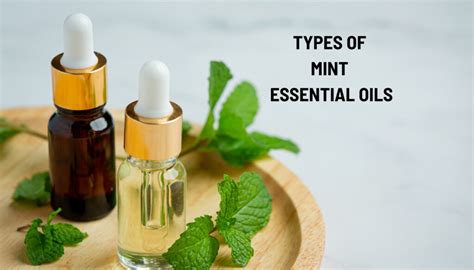 Mint Products Archives Thykn India International