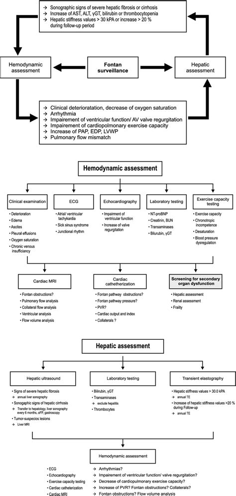 Algorithm For Hemodynamic And Hepatic Assessment Of Fontan Palliated