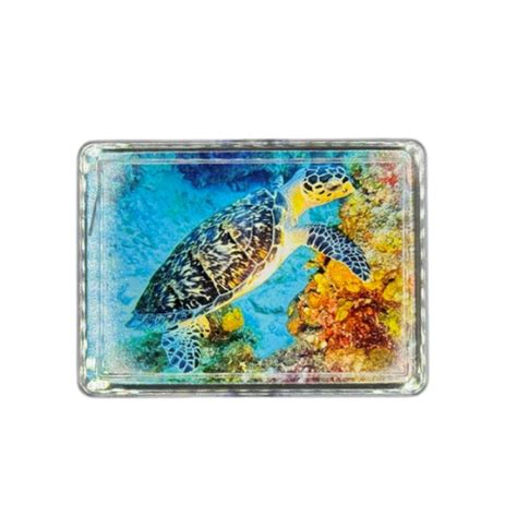 All Products Lisa Collins Photography