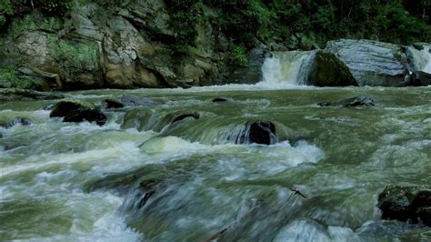 Унтах суралцах амрах зориулалттай голын цагаан дуу чимээ Байгаль 1 цаг дуугардаг Youtube
