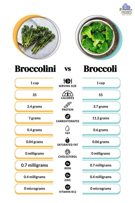 Broccolini Vs Broccoli 4 Key Differences And Nutrition Comparison