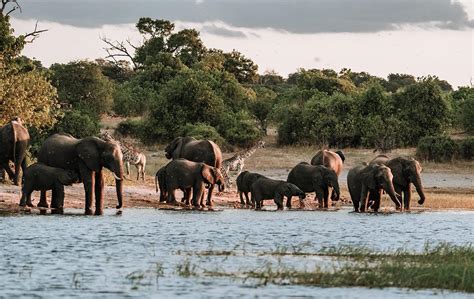 Top Places To Visit In Botswana Botswana Attractions