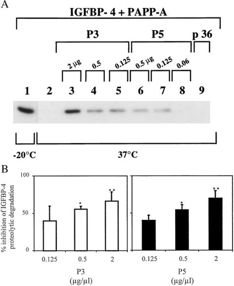Dose Dependent Effect Of The Igfbp 3 And Igfbp 5 Derived Download