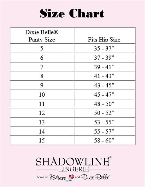 Dixie Belle Womens Underwear Nylon Full Brief High Waist Panties 6 Pa Nyteez