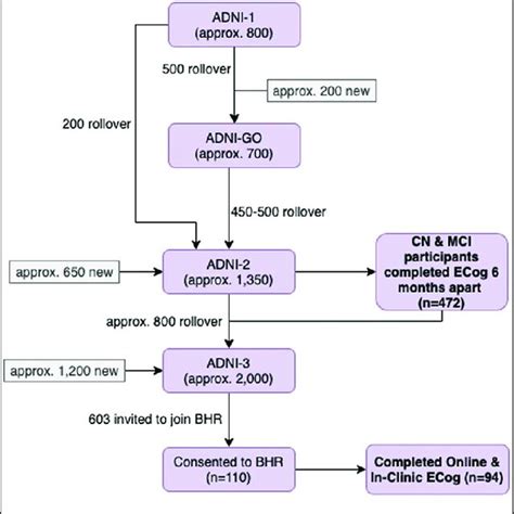 Enrollment Flow Chart For Adni And Bhr Download Scientific Diagram