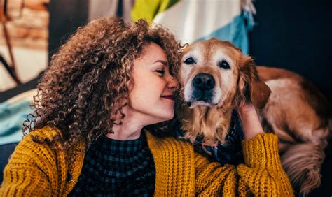 Accuplex With C6 Veterinary Testing Antech Diagnostics