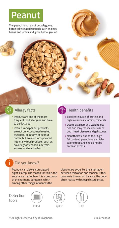 Peanut Food And Feed Analysis
