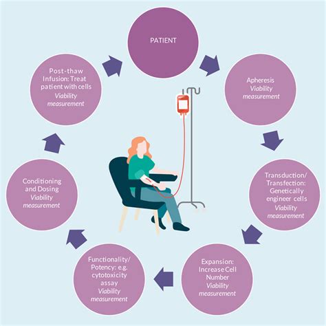 Autologous Cellular Therapy Manufacturing Process Phase Holographic