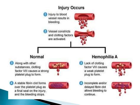 Coagulation Profile Pptx