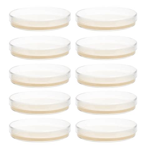 Clear Agar Plate At Sandra Madrigal Blog