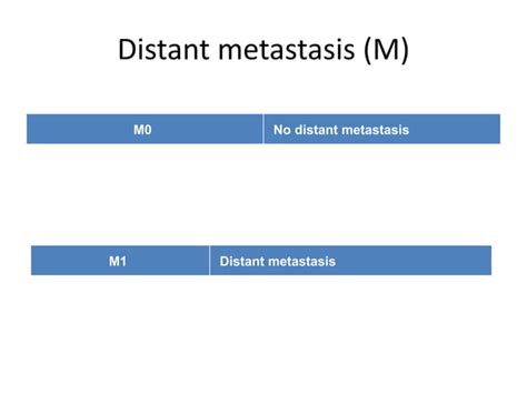 Tnm Classification For Hepatocellular Carcinomapptx Cancer Diseases And Conditions