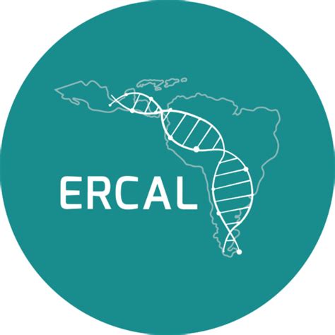 Ercal Group Leydi Carmona