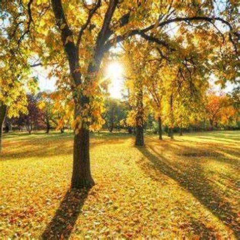 Stream Drake Cassity Listen To Awoken In My Favor Playlist Online For