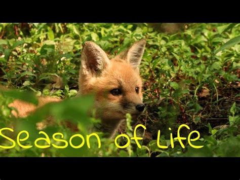 John Van Saders On Linkedin Season Of Life