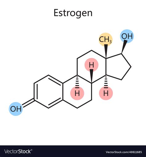 Structure Of Estrogen