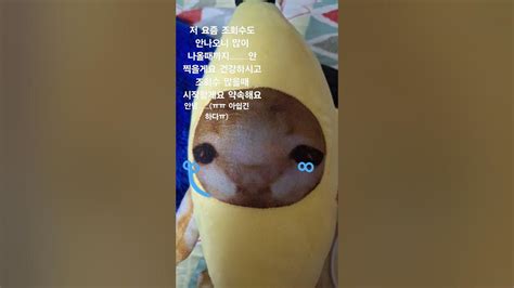 안녕 여러분 Youtube