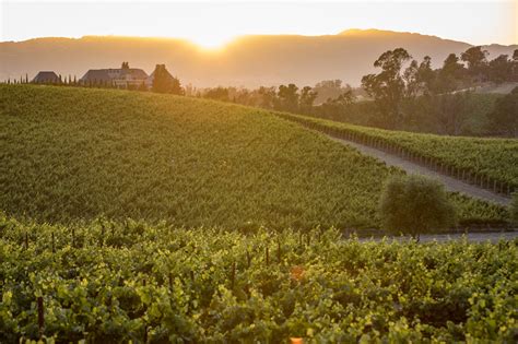 36 Hours In Napa Valley The New York Times