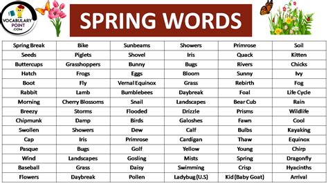List Of Spring Words Vocabulary Point