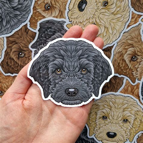 Cute Cockapoo Stickers And Cavapoo Decals Apricot Cockapoo Sticker
