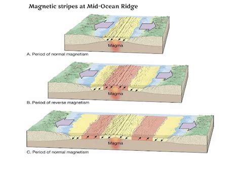 Mid Ocean Ridge Definition Examples Geology In